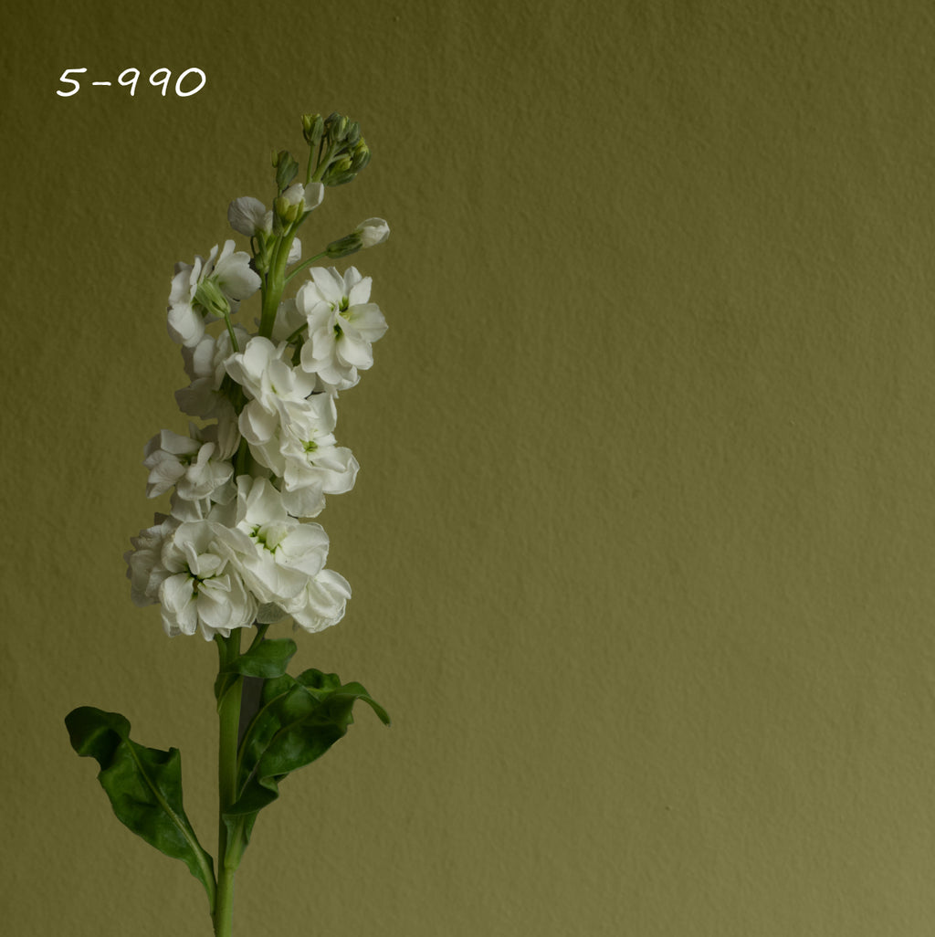 Ovolin | Naturlig Färg & Hållbar Byggnadsvård